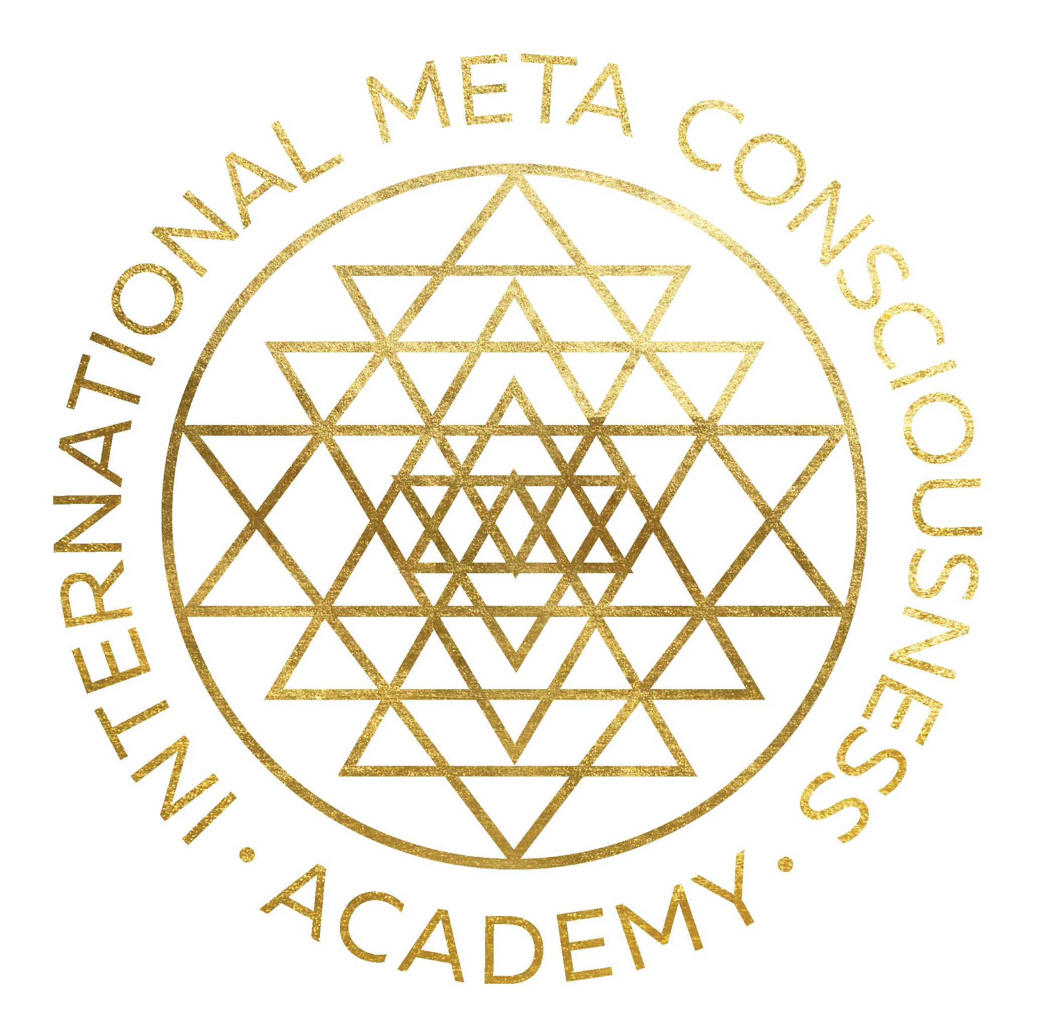 Team Meta Masters For Trainers International Meta Consciousness Academy Team Meta Masters For Trainers International Meta Consciousness Academy